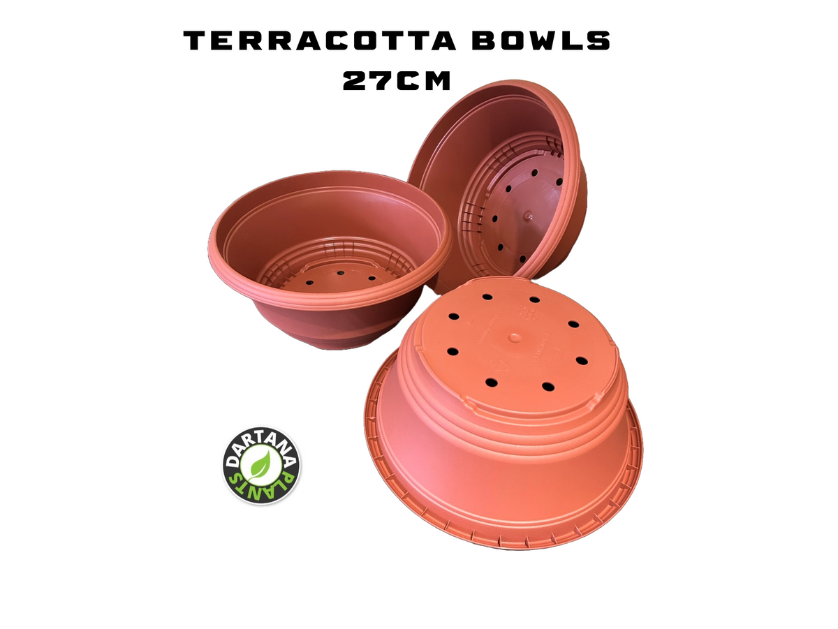 1,2,3 or 5 27cm Terracotta Bulb Bowls perfect for Bulbs, Alpines, Bons ...