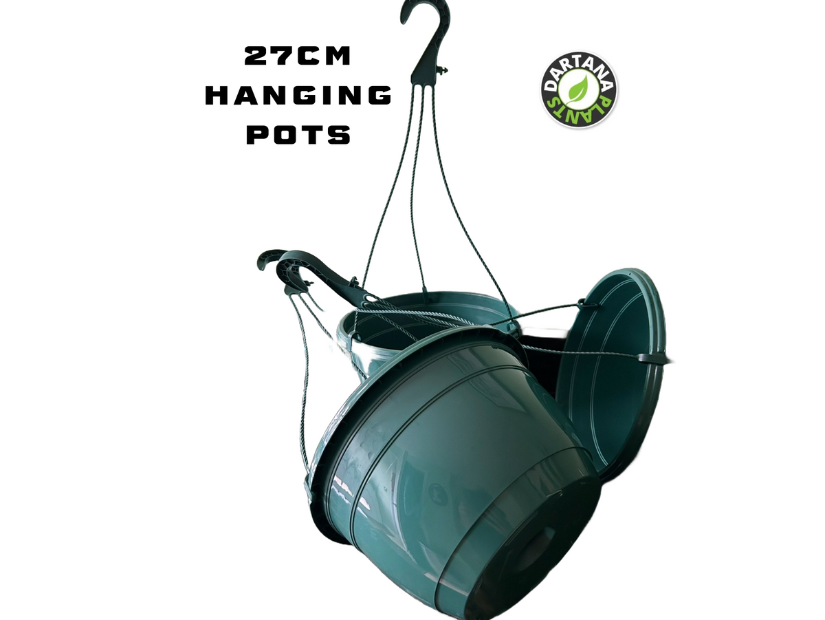 2 X 27cm Hanging pots in Dark Green. – Dartana Plants