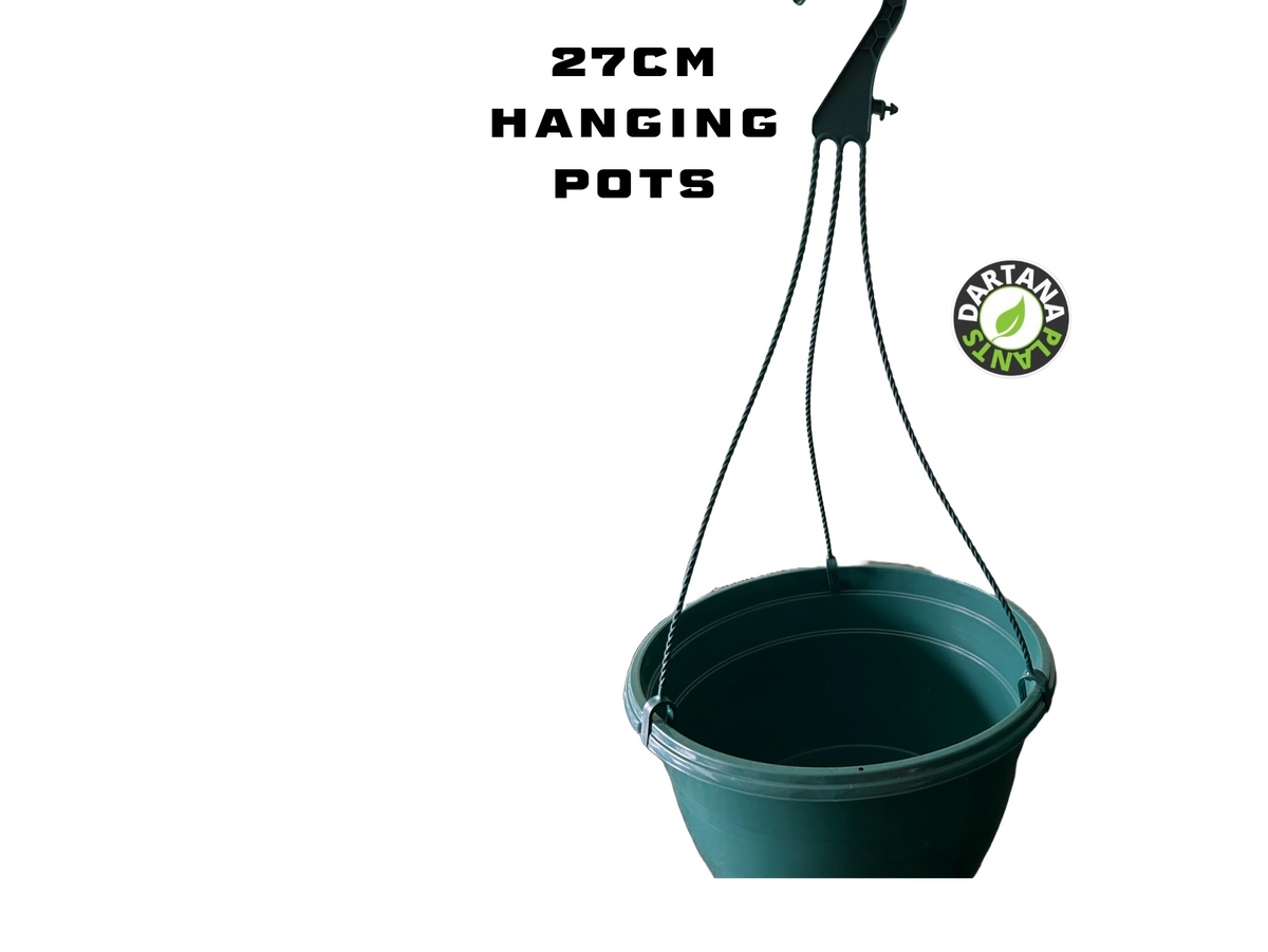 1 X 27cm Hanging pots in Dark Green. – Dartana Plants