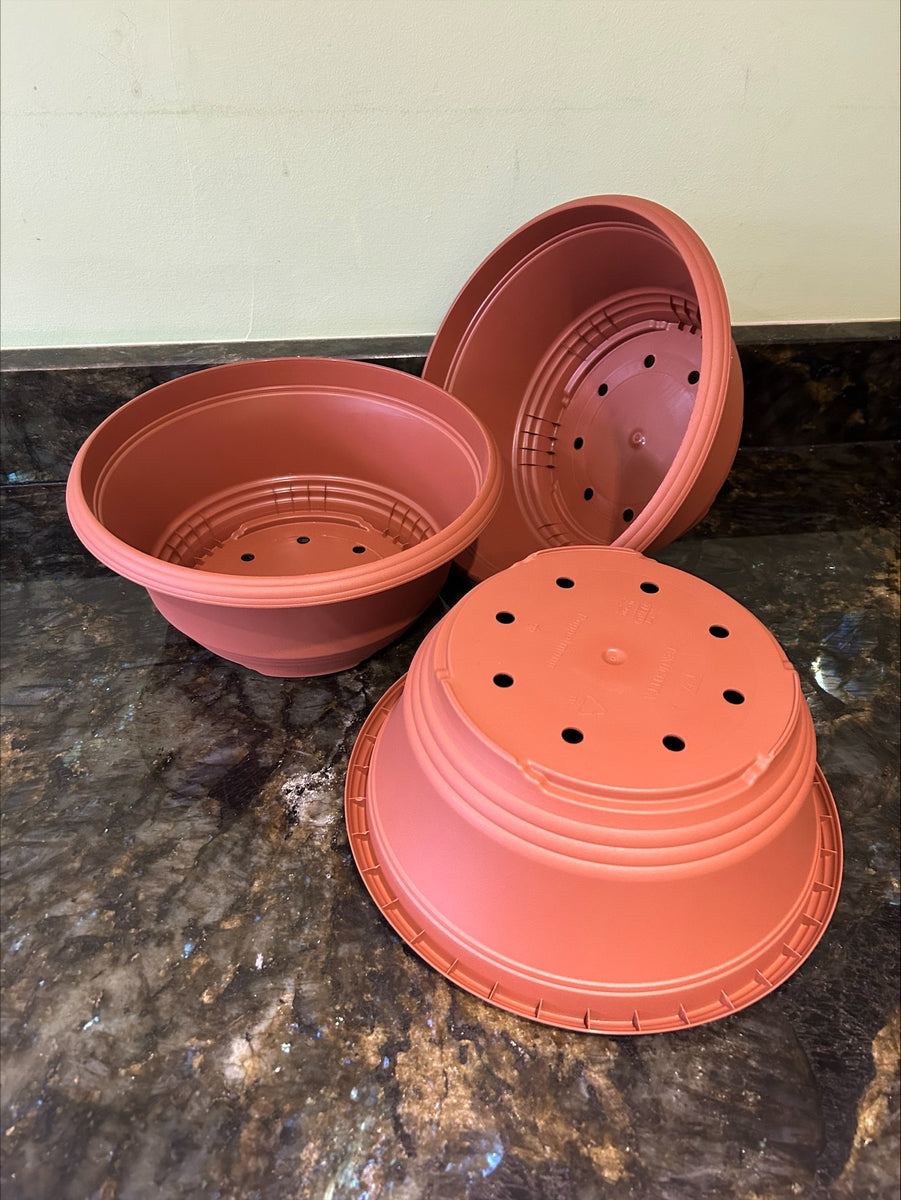 1,2,3 or 5 27cm Terracotta Bulb Bowls perfect for Bulbs, Alpines, Bons ...