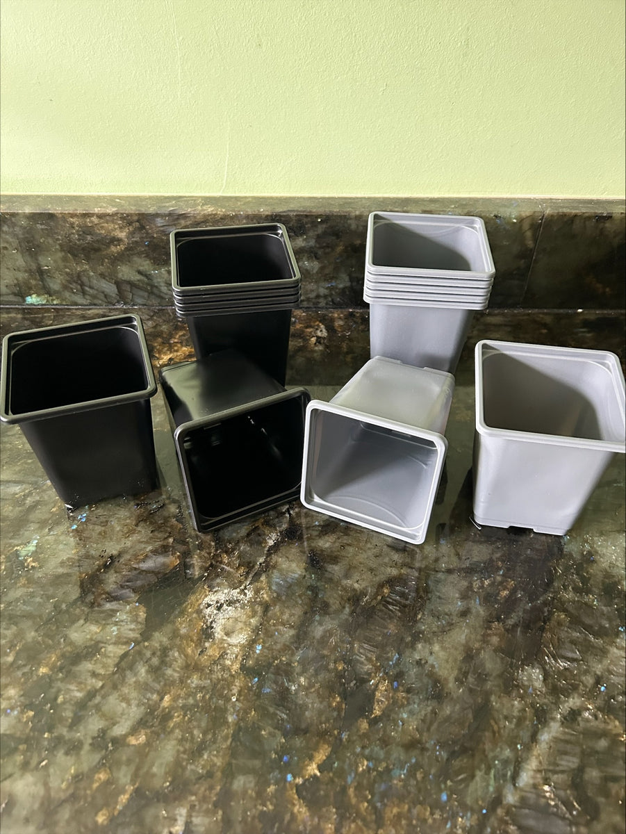 9 cm Square plastic pots Gray - Quantity 30 – Dartana Plants