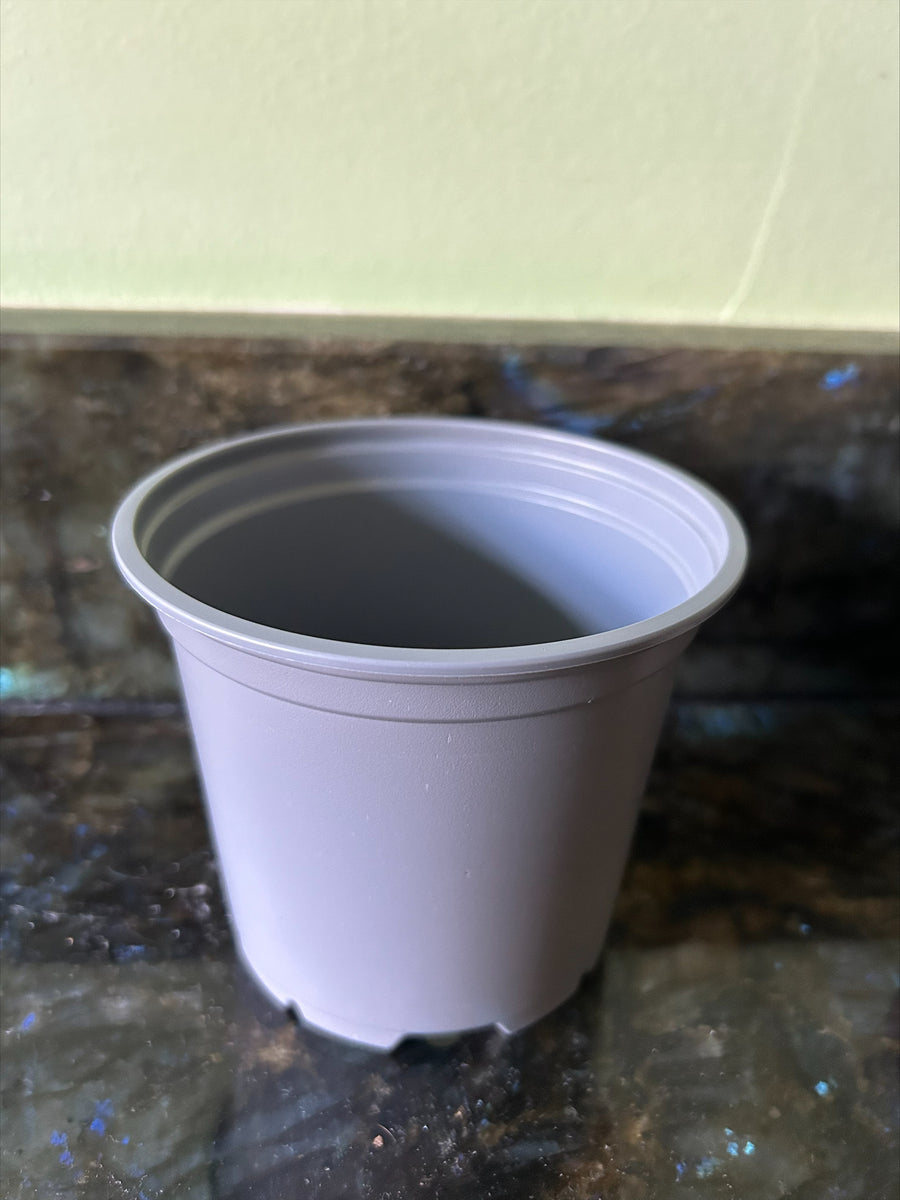 50 x 10.5 cm Plant Pots Royal Grey – Dartana Plants
