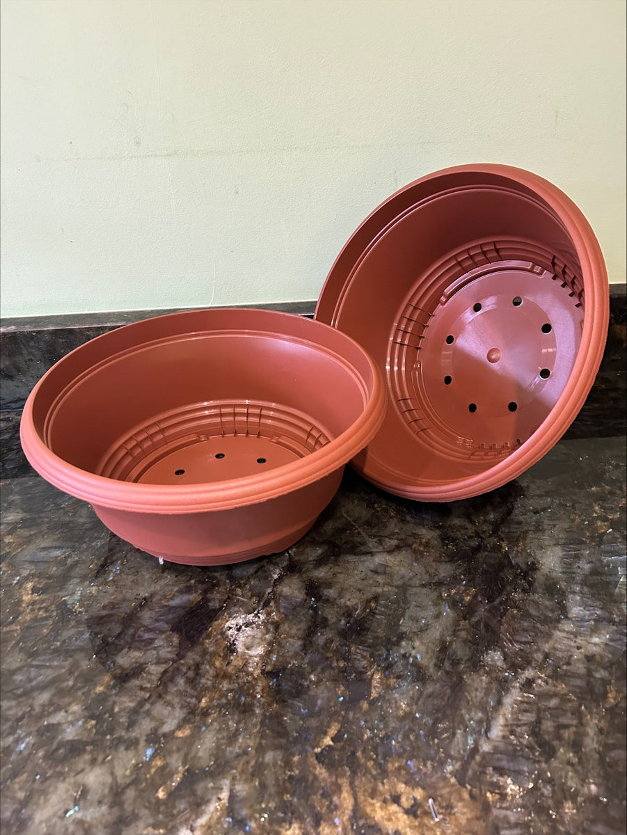 5 x 27cm Terracotta Bulb Bowls perfect for Bulbs, Alpines, Bonsai ...